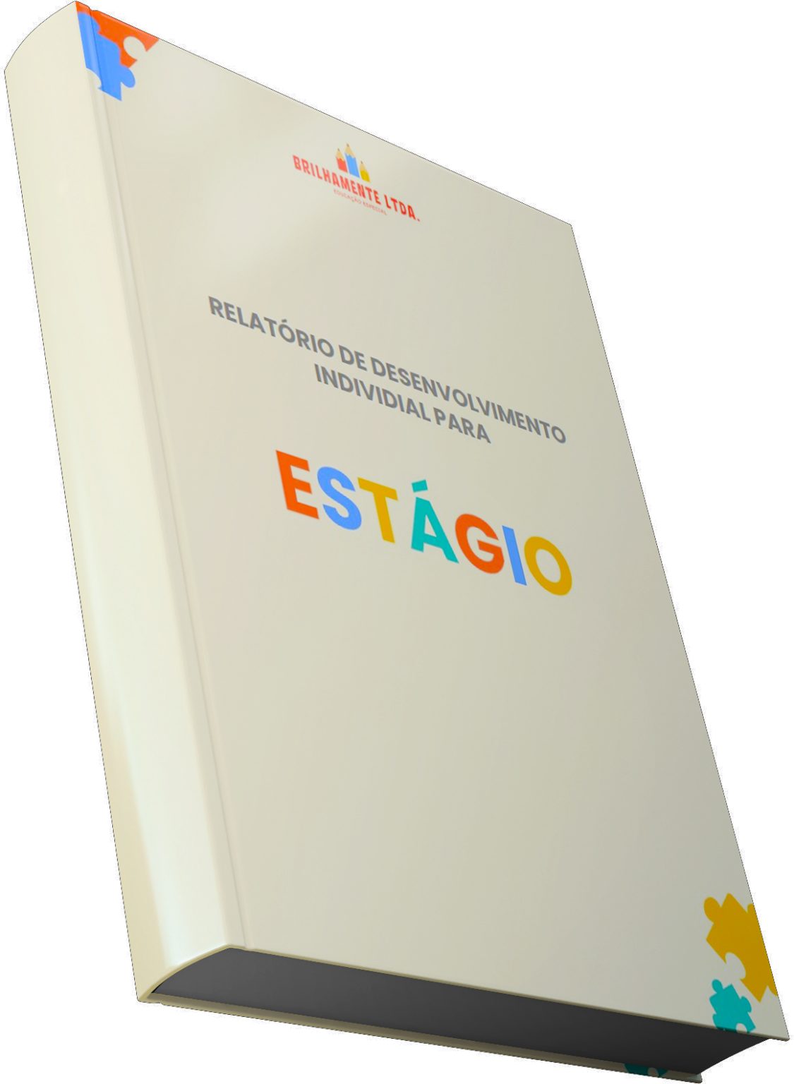 Relatórios Educação Especial – Atividades e Pedagogia